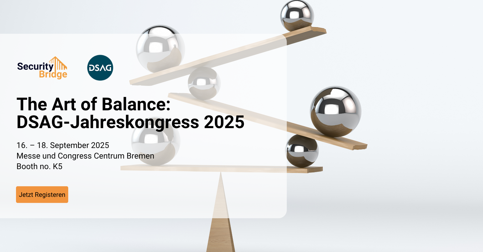 DSAG-Jahreskongress 2025 : The Art of Balance